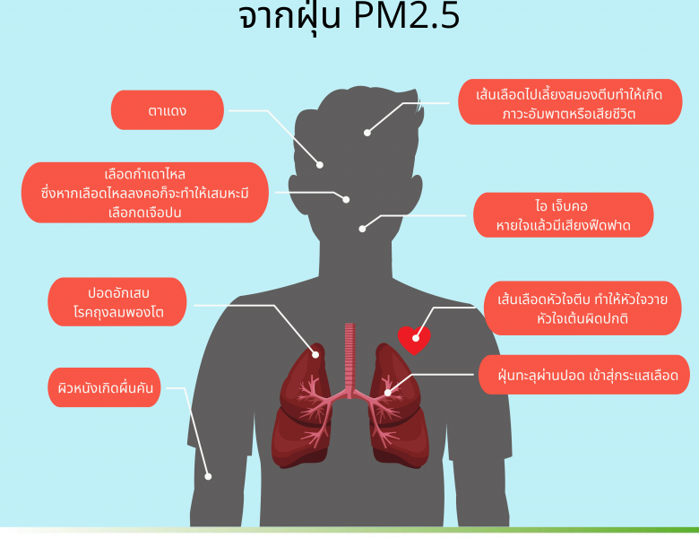 ปัญหาหมอกควัน PM2.5 - สถาบันวิจัยและพัฒนาพลังงานนครพิงค์ มหาวิทยาลัย ...